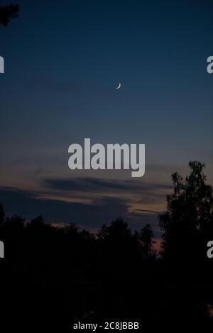 Crescent moon setting in the afternoon behind trees Stock Photo - Alamy