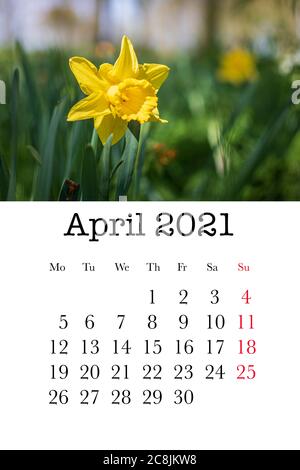 Calendar card for the month of April 2021 Stock Photo - Alamy