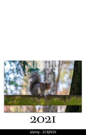 Calendar cover for 2021 on white background Stock Photo - Alamy
