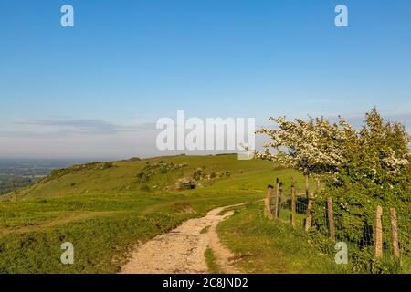 A pathway on Ditchling Beacon along the South Downs Way in Sussex, on a ...