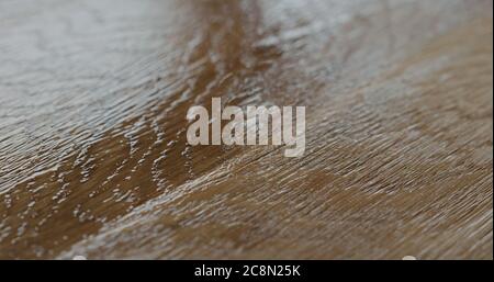 applying oil finish to oak surface with brush, wide photo Stock Photo ...