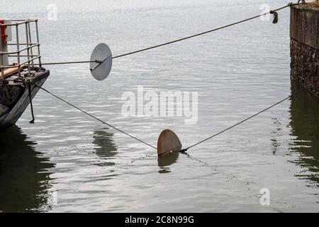 Rat guards on ship mooring ropes to prevent Rats getting aboard Stock ...