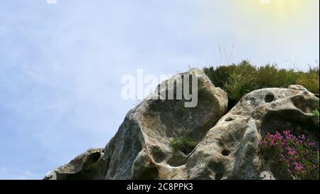 Large stone with erosions and plants in the mountains, Basque Country ...
