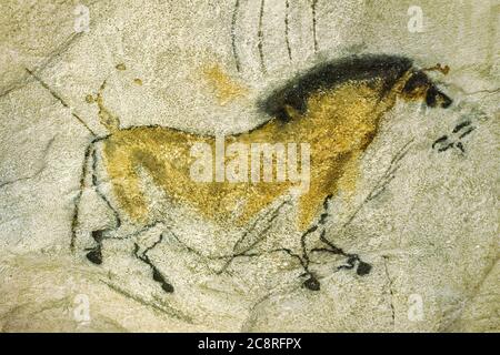 Cave Art - Lascaux - Prehistoric cave painting of running horse, from ...