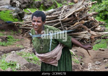 Ethiopian women carrying bundles of firewood in the Entoto Mountains ...