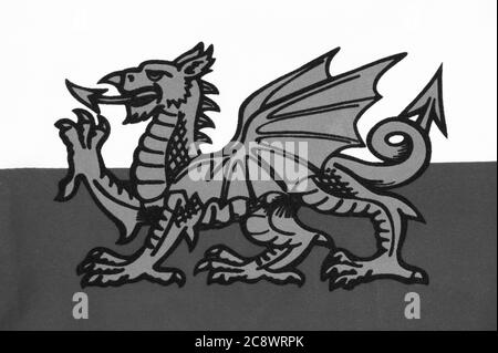 The national flag of Wales known as Y Ddraig Goch (The Red Baron) sadly ...