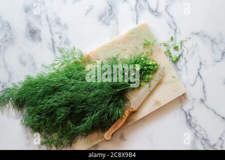 Fresh green dill, copy space. Bunches of garden dill on slate tray ...