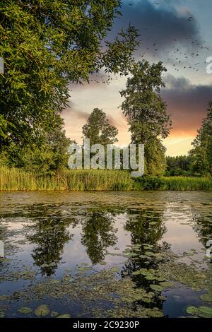 Grabia River surrounded by fields and forests in central Poland Stock ...