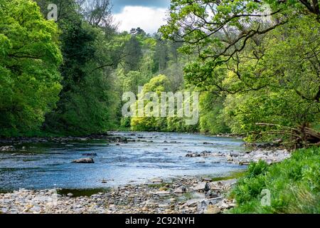 River Hodder, Clitheroe, Lancashire Stock Photo - Alamy