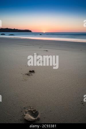 Footsteps at night on beach Stock Photo - Alamy
