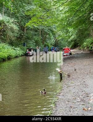 Canal boat on the Llangollen Canal near Blakemere, Shropshire Stock ...