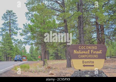 Coconino National Forest Campground Sign in northern Arizona Pine ...