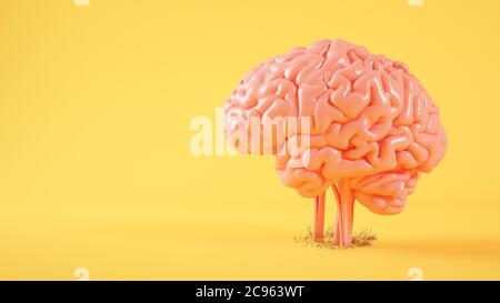 Brain plant sprout concept 3d rendering Stock Photo - Alamy