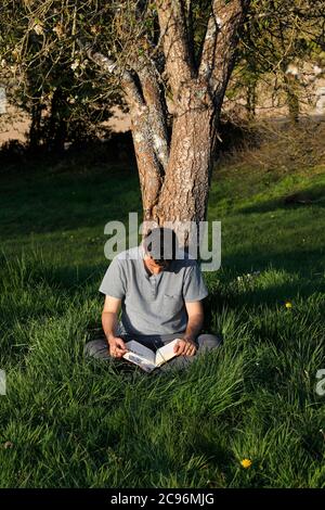 Young man reading the bible under a tree in Eure, France Stock Photo ...