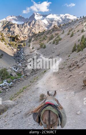 Mountain landscape and beautiful horses on an autumn meadow, Plana ...