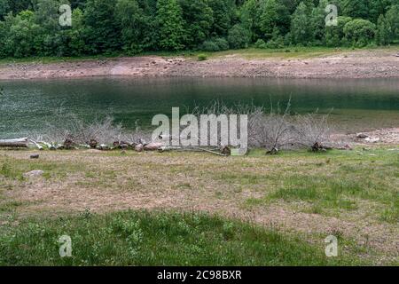 Broken trees at the Nagold Dam (Nagoldtalsperre, also Erzgrube) in the ...