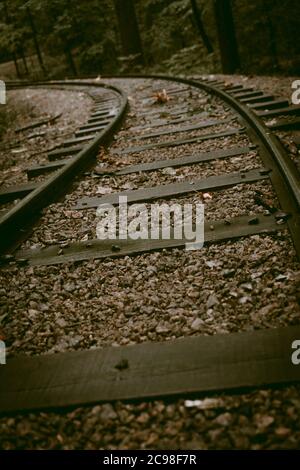 train tracks swerving through the forest Stock Photo - Alamy