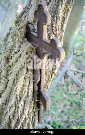 The Christian cross of the grave is rooted in a tree Stock Photo - Alamy
