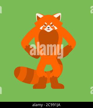 A cartoon illustration of a red panda with an angry expression Stock ...