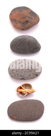 Beach findings isolated on white background Stock Photo - Alamy