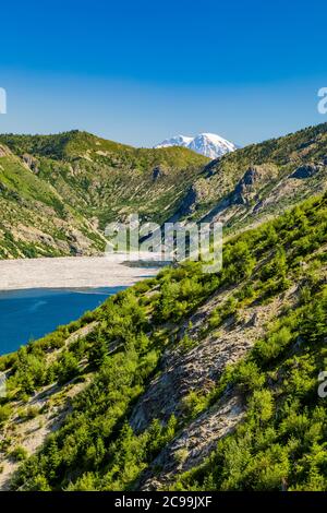 Spirit Lake with floating logs, 40 years after the blast, with Mount ...