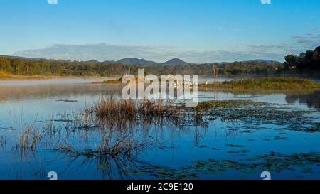 Lake Samsonvale, North Pine Dam, Brisbane, Australia Stock Photo - Alamy