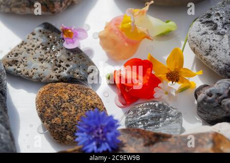 Natural Botanics / Elements / Fine Art/ Creative Botanics / Health ...