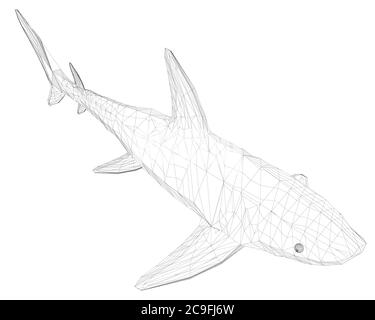 Wireframe low poly blue shark. 3D. Front view. Vector illustration ...