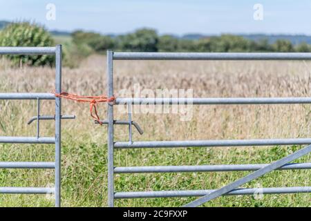 Galvanized steel farm gate across entrance to wheat field in summer sun ...