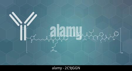 Brentuximab vedotin antibody-drug conjugate molecule. Stylized antibody ...
