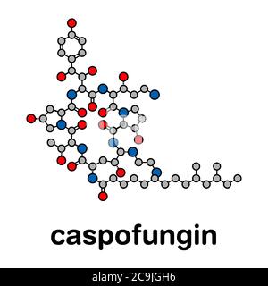 Caspofungin antifungal drug molecule. Stylized skeletal formula ...