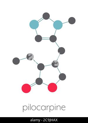 Pilocarpine drug molecule. Stylized skeletal formula (chemical ...