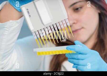 Researcher using multichannel pipette Stock Photo - Alamy