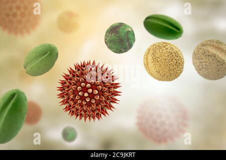 Pollen grains from different plants, conputer illustration. Pollen ...