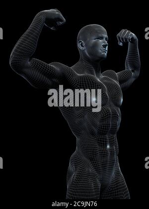 Male anatomy, computer illustration Stock Photo - Alamy