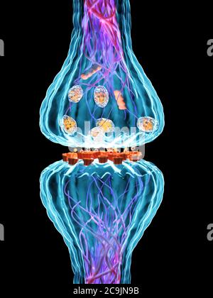 Synapse, computer illustration Stock Photo - Alamy