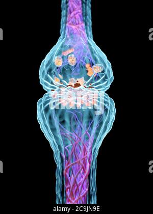 Synapse, computer illustration Stock Photo - Alamy