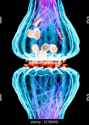 Synapse, computer illustration Stock Photo - Alamy