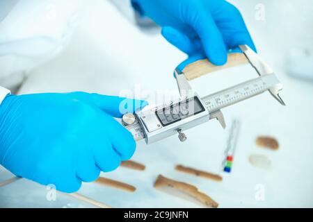 Archaeologist measuring lithics with calliper in laboratory Stock Photo ...