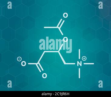 Acetylcarnitine (ALCAR) nutritional supplement molecule. Blue skeletal ...