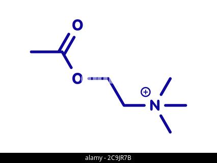 Acetylcholine (ACh) neurotransmitter molecule Stock Photo - Alamy