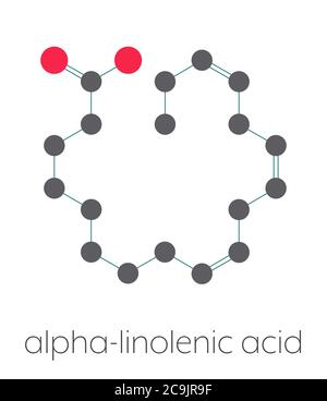 Alpha-linolenic acid, ALA molecule. Carboxylic, polyunsaturated omega-3 ...