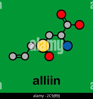 Alliin garlic molecule. Stylized skeletal formula (chemical structure ...