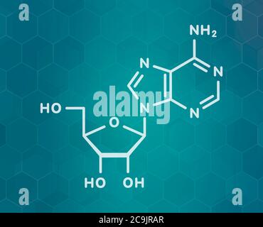 Adenosine (Ado) purine nucleoside molecule. Important component of ATP ...