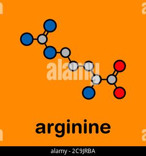 Arginine (L-arginine, Arg, R) amino acid molecule. Stylized skeletal ...