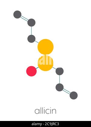 Alliin garlic molecule. Stylized skeletal formula (chemical structure ...
