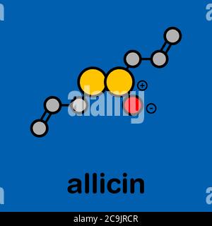 Alliin garlic molecule. Stylized skeletal formula (chemical structure ...