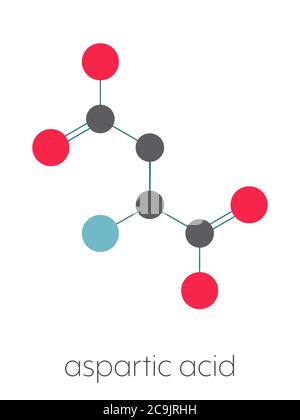 Aspartic acid (L-aspartic acid, Asp, D) amino acid molecule. Skeletal ...