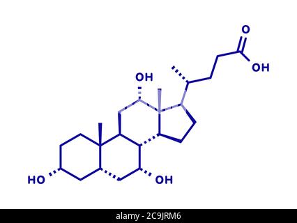 Cholic acid (cholate) molecule. Main bile acid component. Stylized ...
