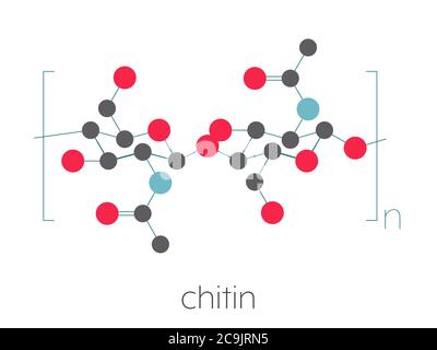 Chitin, chemical structure. Chitin is a polymer of N-acetylglucosamine ...